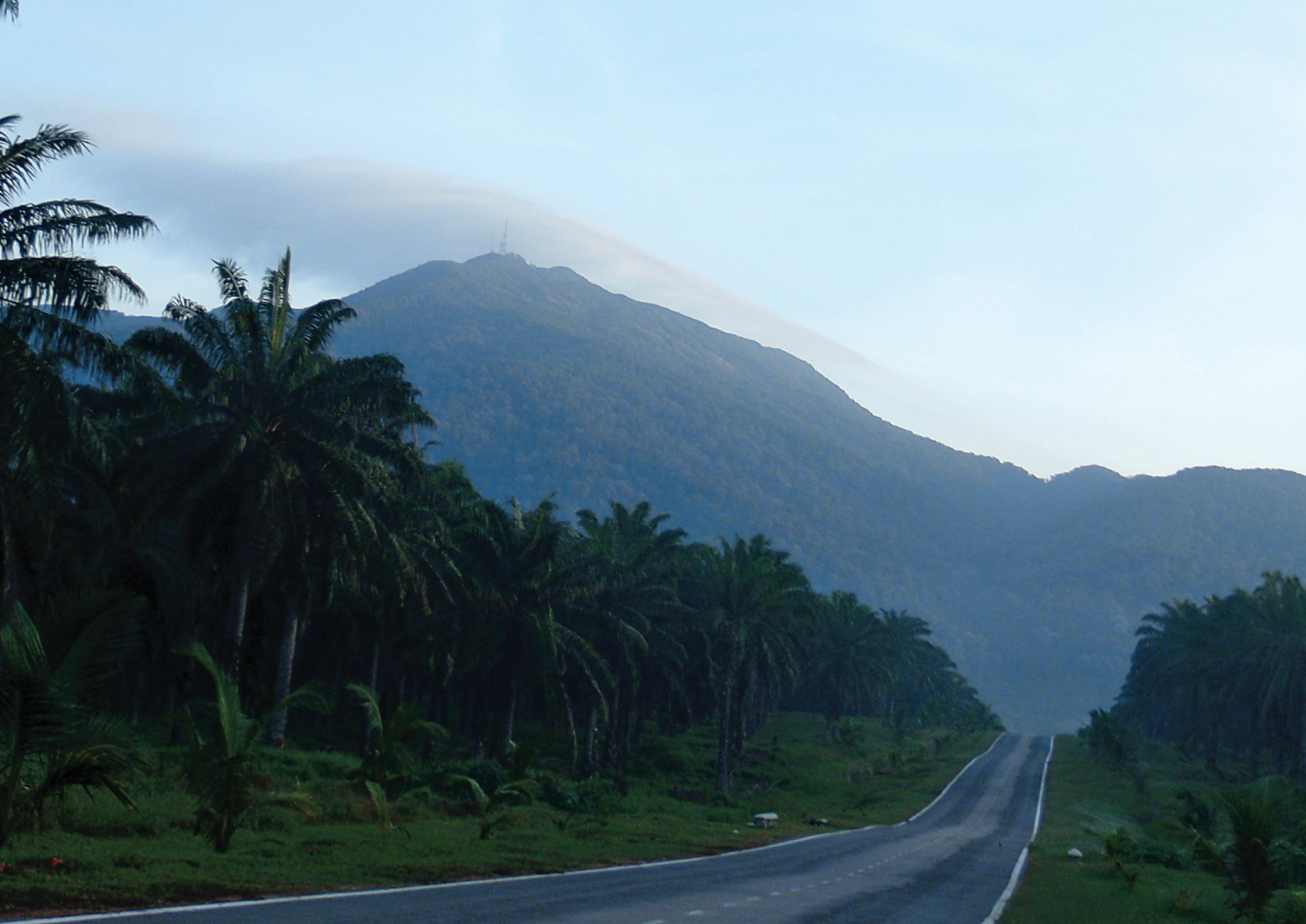 A Mountain of Myth and Mystery: Conquering Gunung Ledang | Running-Malaysia